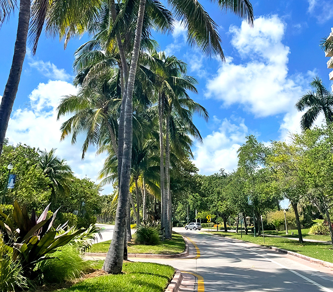 The palm-lined road to Key Biscayne feels like the opening sequence of a tropical vacation movie where everyone lives happily ever after.