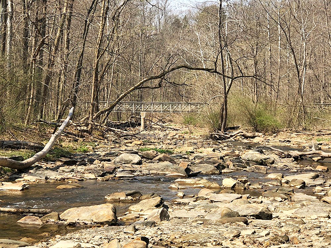 Downstream drama – where water meets stone in an ongoing geological negotiation that's been millions of years in the making.