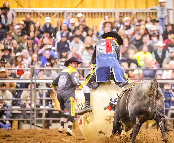 Roughrider Rodeo delivers authentic Ozark entertainment, proving that retirement in Neosho doesn't mean giving up excitement—just high-priced tickets.