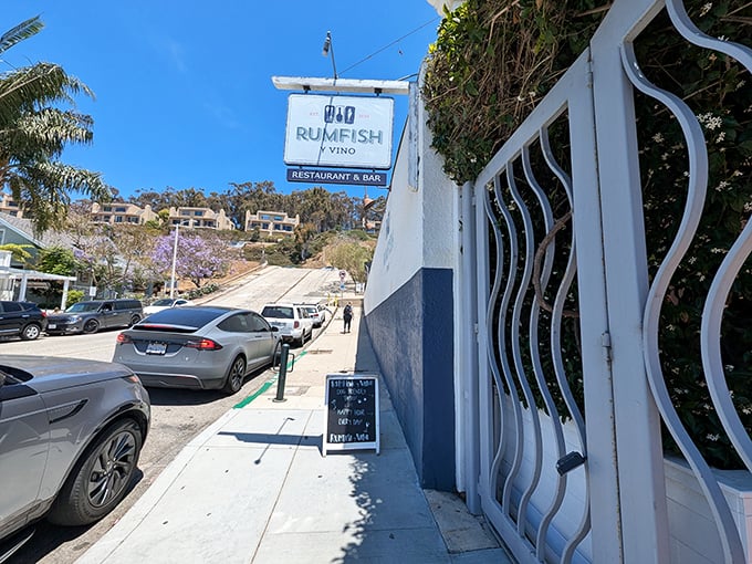 Rumfish y Vino brings coastal cuisine without coastal markup—where seafood tastes like the ocean rather than like your credit card statement.