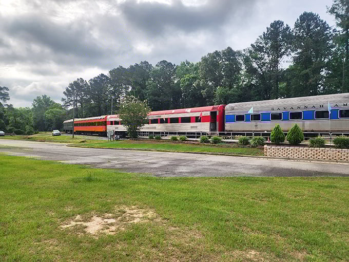 All aboard the SAM Shortline Excursion Train! These vintage cars don't just travel through Georgia—they travel through time.