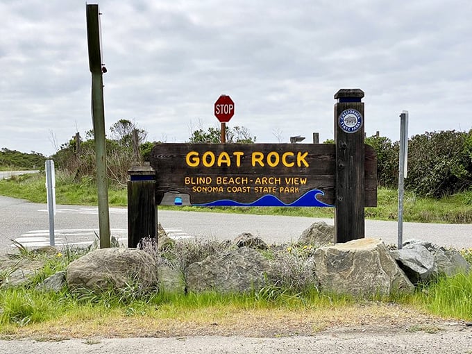 Goat Rock: where the name is humble but the views are anything but. This sign marks the entrance to one of California's most photogenic coastal spots.