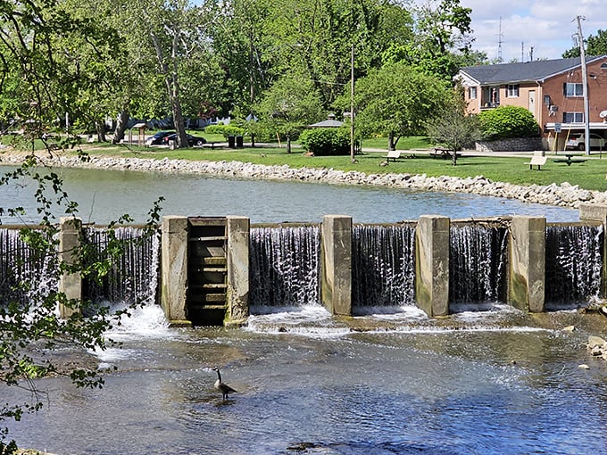 The gentle cascade creates nature's soundtrack—a soothing white noise that makes sitting near Roberts Bridge a multi-sensory experience.