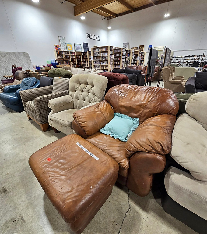 The sofa section resembles a living room petting zoo—leather, fabric, and patterns competing for the chance to cradle your next Netflix marathon.