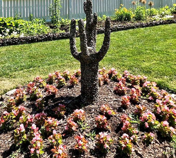Stone cacti that never need watering but always provide wonder for curious garden visitors.