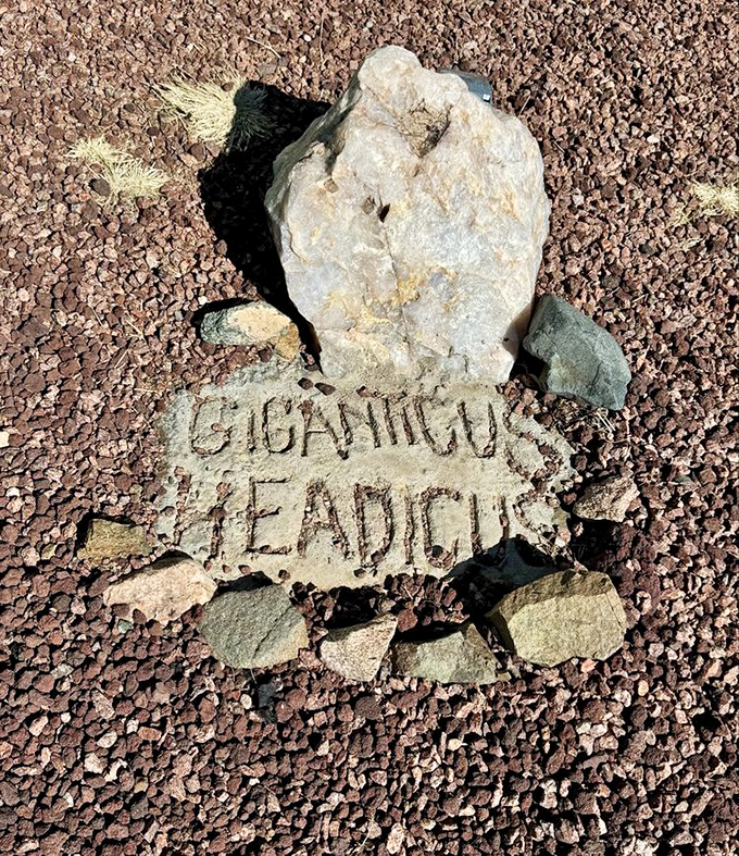 Even the marker rocks get the star treatment here—this stone autograph confirms you've officially entered the realm of roadside royalty.