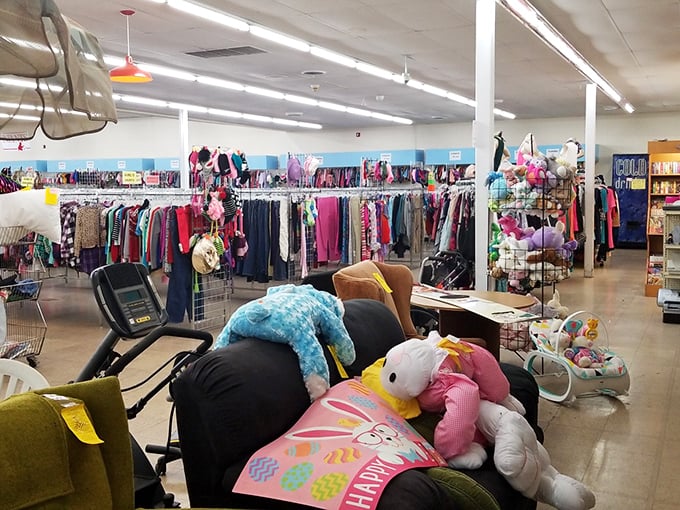 Stuffed animals and furniture create an impromptu living room tableau—a plush menagerie waiting to comfort new owners on budget-friendly sofas.
