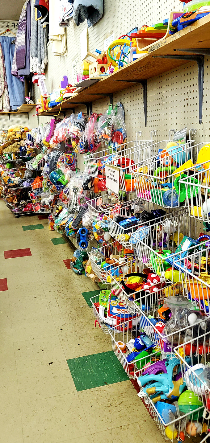 Toy bins overflow with plastic possibilities—each a chance for budget-friendly joy and the occasional nostalgic "I had that!"