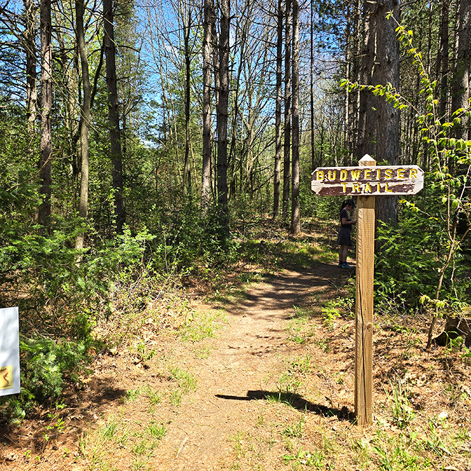 The path to the Budweiser team—because in Wisconsin, all roads eventually lead to something beer-related.