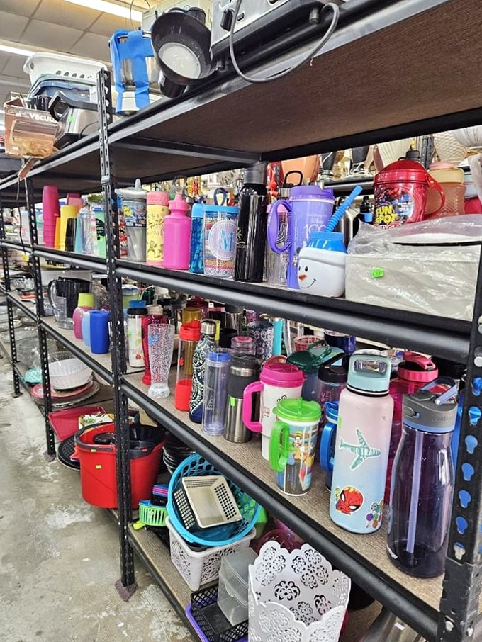 Water bottle wonderland! From kiddie cups to professional hydration systems—because staying hydrated should be both practical and personality-appropriate.
