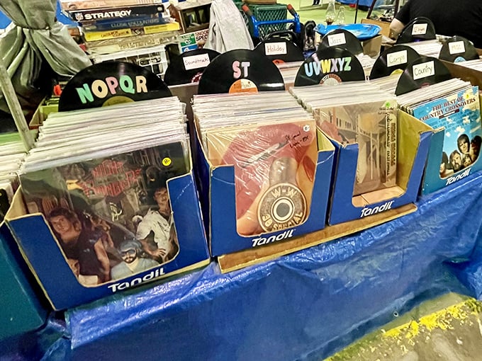 Vinyl paradise organized by alphabet but discovered by serendipity. Each record sleeve holds the soundtrack to someone's forgotten memories.