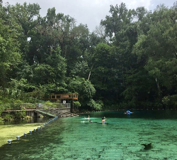 The swimming area reveals nature's perfect pool design – complete with limestone bottom, crystal water, and a canopy of ancient trees.