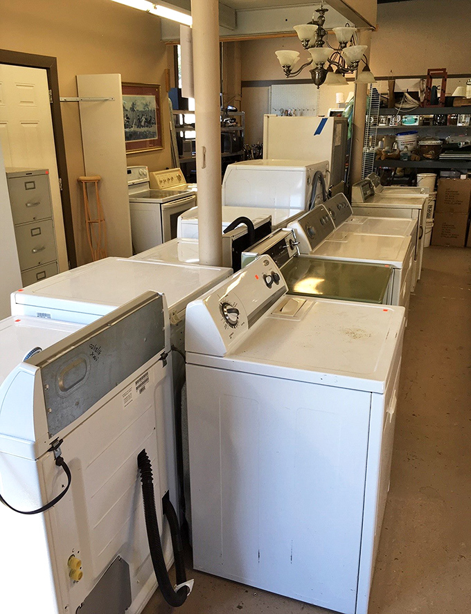 The washing machine lineup looks like a time capsule of laundry technology—from "gentle cycle pioneer" to "survived three teenagers and still spins."