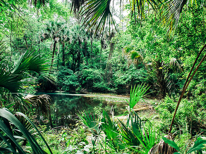 The perfect blend of green and blue—like Earth showing off its favorite colors in one spectacular natural canvas.