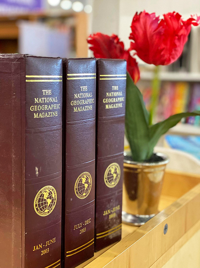 Bound knowledge awaits! These National Geographic collections hold more adventures than Indiana Jones's diary.