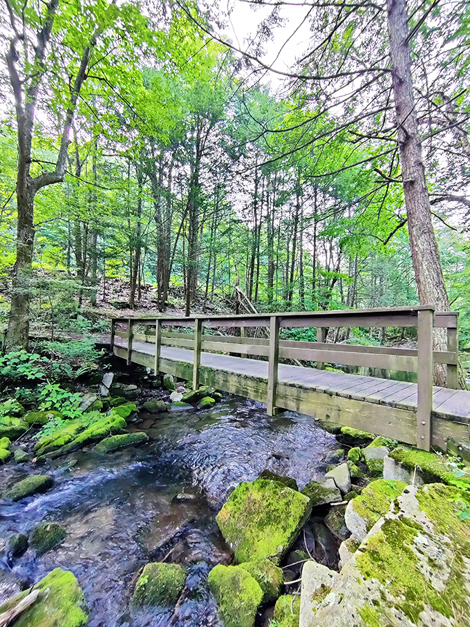 This wooden bridge isn't just crossing a stream – it's crossing into tranquility. Moss-covered rocks below create nature's version of a Japanese garden.