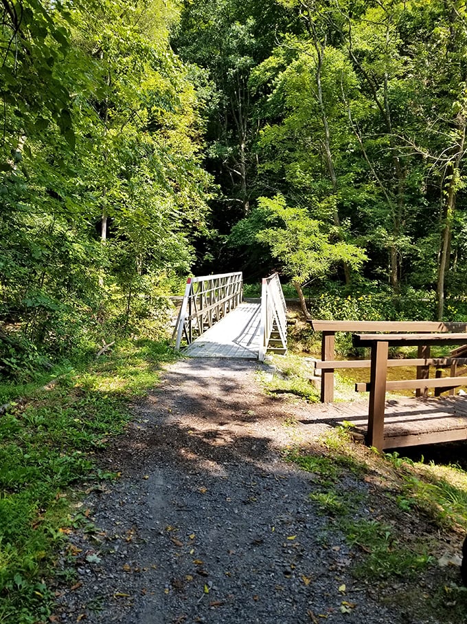 This unassuming bridge doesn't just connect two trails—it spans the gap between our hurried lives and the peaceful rhythm of the natural world.