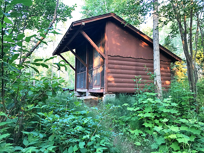 Rustic cabin dreams come true—where "no Wi-Fi" is listed as an amenity and the forest is your living room.
