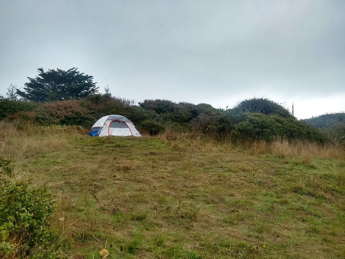 Camping with a side of fog – the authentic Northern California experience where your morning coffee comes with atmospheric drama.