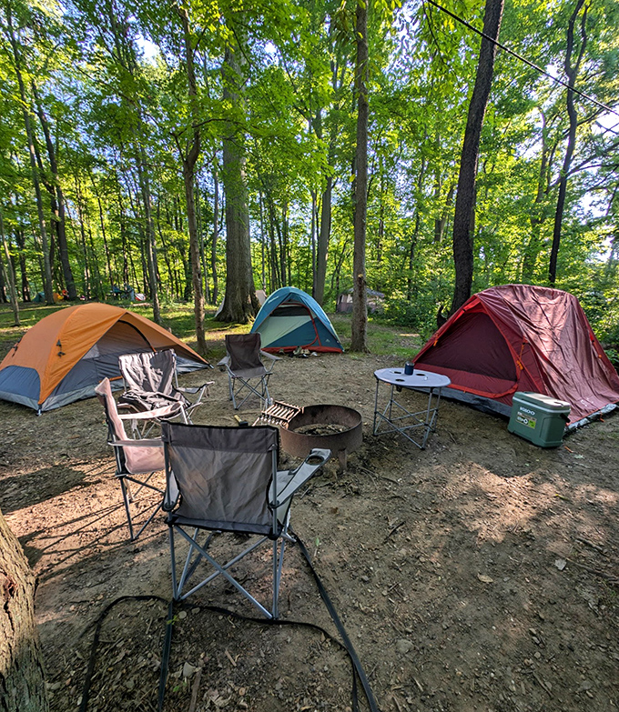 Camping nirvana: where three colorful tents and a fire ring promise stories that'll last longer than your phone battery. Unplug and unwind.
