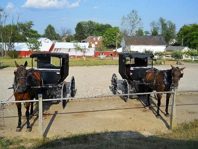 Horse-drawn buggies stand ready, a reminder that the best traditions—like taking time for a proper meal—never go out of style.