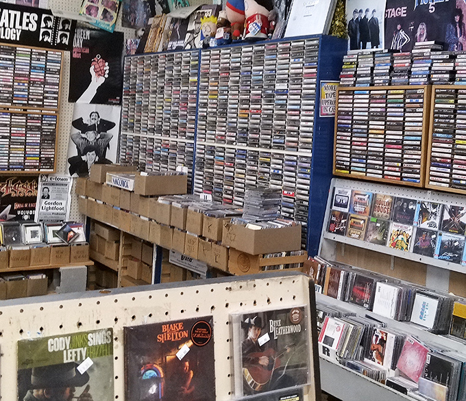 Music history organized in plastic cases. Each album a time machine, ready to transport you back to your first dance, first heartbreak, or first road trip.