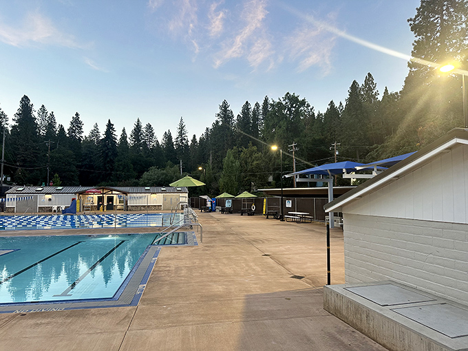 The community pool offers summer refreshment without coastal crowds or Bay Area prices—just clean water, mountain air, and the occasional cannonball from a retiree reliving youth.