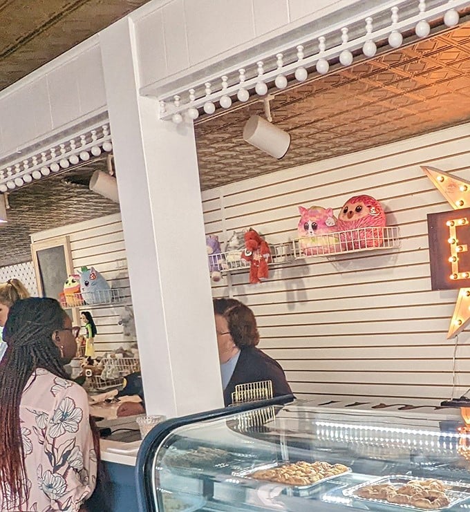 With golden pastries in the case and stuffed animals keeping watch from the shelves, this counter feels like a sweet little slice of small-town joy — part bakery, part childhood memory, all heart.