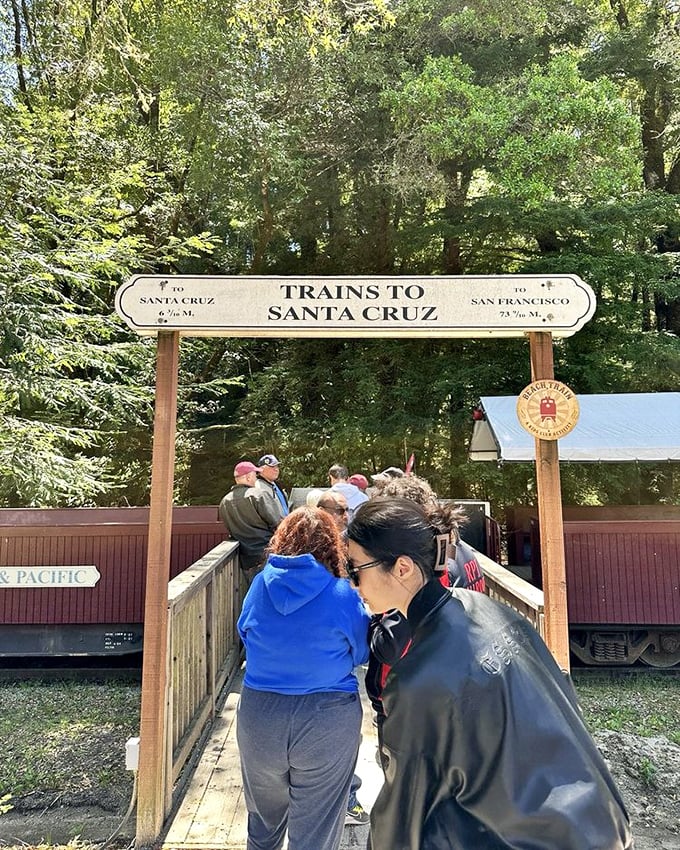 "Trains to Santa Cruz" reads the sign, promising adventures in two directions—a reminder that these rails once connected mountain forests to coastal communities.