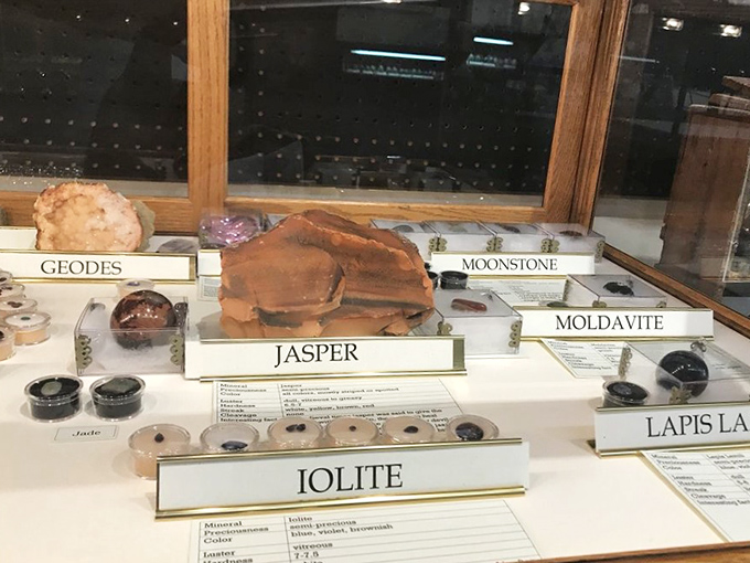 Even geological specimens find a home here, perhaps reminding us of the earth's materials that made bicycle manufacturing possible.