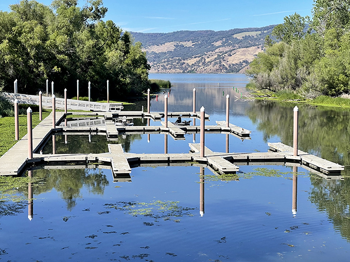 Boat slips waiting like patient valets, ready to welcome watercraft of all sizes to this liquid playground of possibilities.