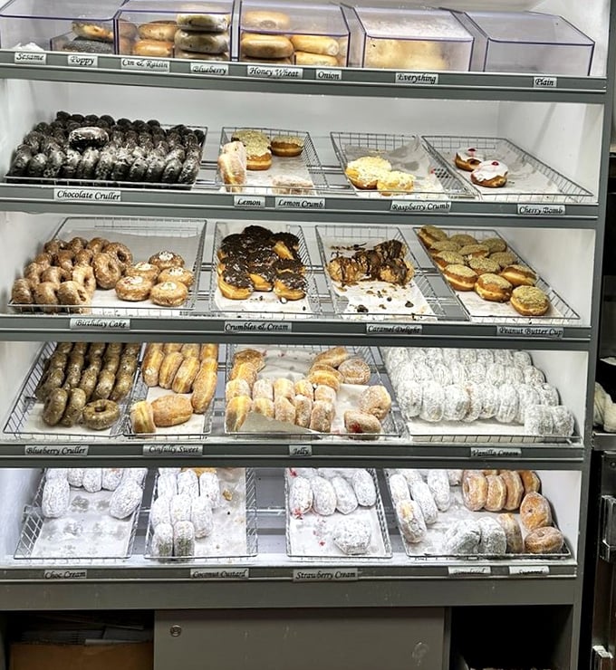 Fifty shades of donut—from powdered to glazed, chocolate-dipped to jelly-filled—a panorama of possibilities that makes decisions deliciously difficult.