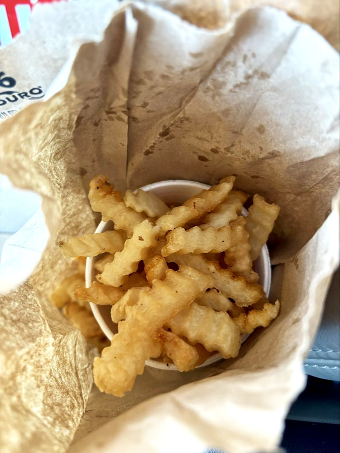 Crinkle-cut fries nestled in their paper bag—simple, golden, perfectly salted companions that know their supporting role and play it brilliantly.