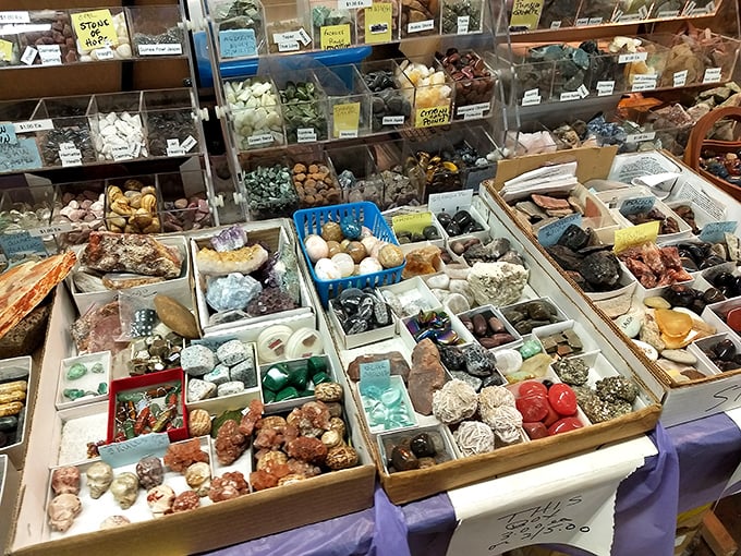 Earth's treasures laid bare! This geological buffet offers everything from polished agates to crystals that promise to align your chakras.