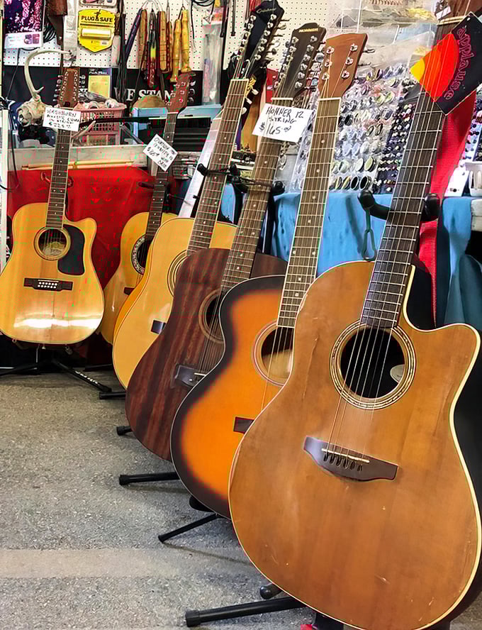 Musicians take note! These acoustic beauties line up like eager performers at an open mic night, each with its own story waiting to be strummed.