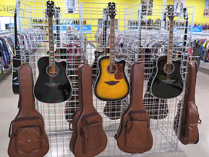 Guitar gallery: where musical dreams hang in suspended animation. Someone's abandoned hobby is your chance to become the next garage band legend.
