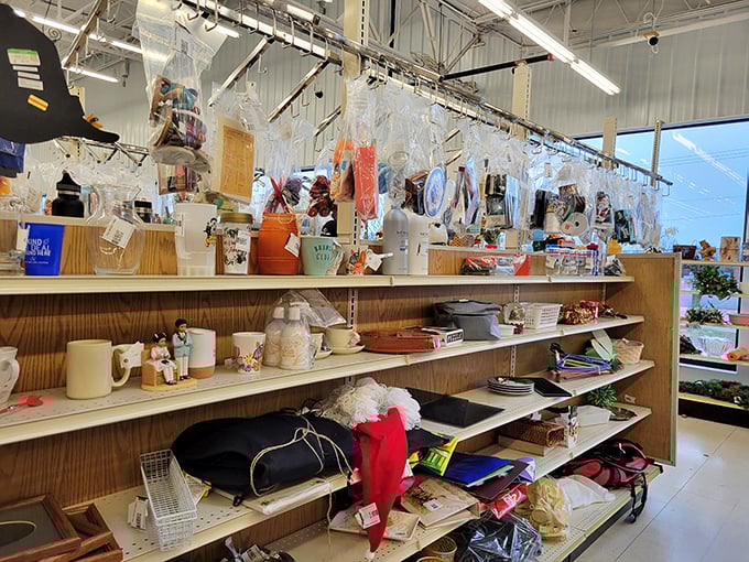 Knickknacks, bric-a-brac, and treasures galore—this shelf of randomness is where the true thrifting magic happens.