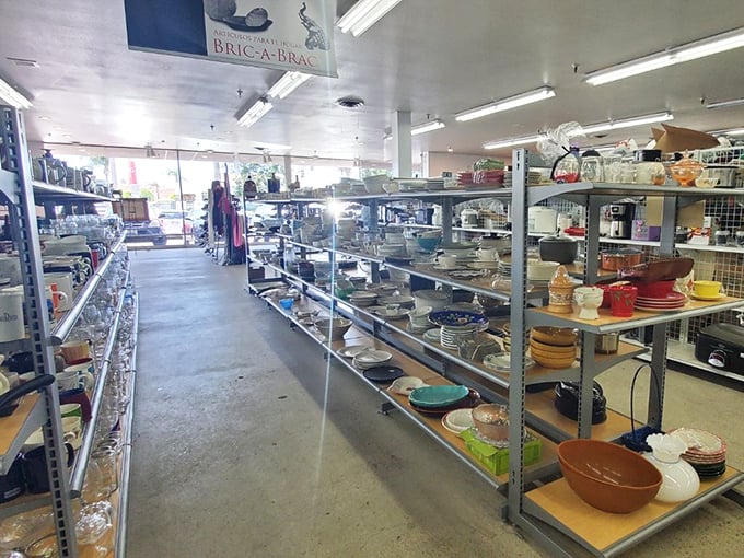 Aisle after aisle of kitchen essentials and home décor. That ceramic bowl could be the missing piece in your dining collection!