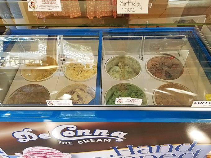 The ice cream case offers sweet salvation from Florida's heat—each flavor a cold, creamy escape from reality.