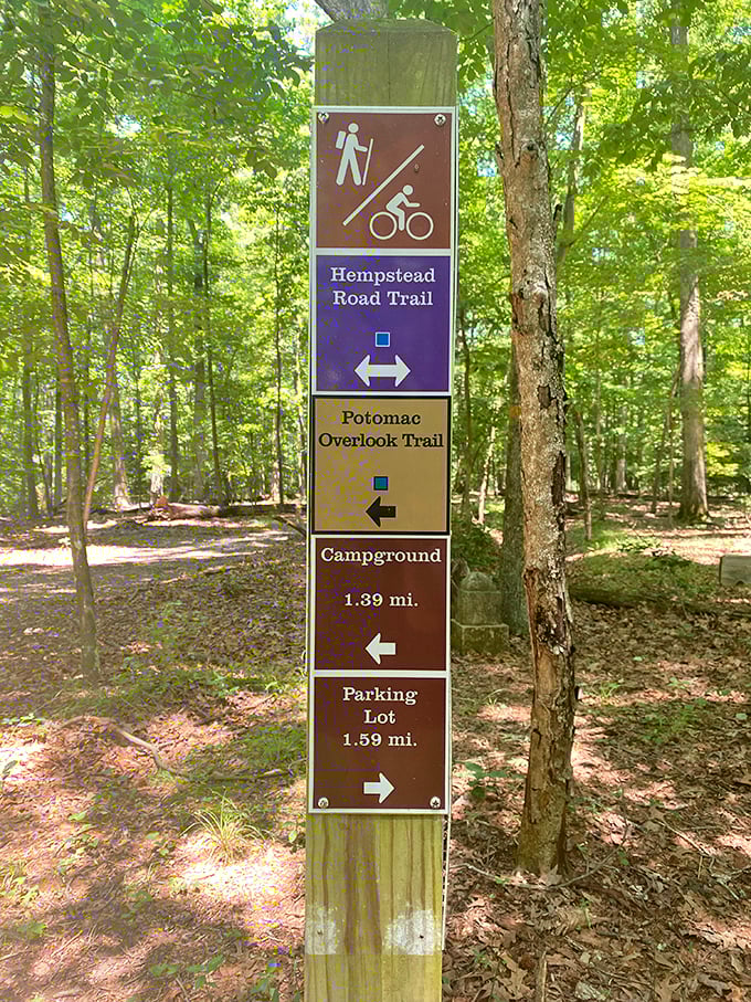 Trail markers that actually make sense—a rare treasure for anyone who's ever played the "I think we're lost" hiking game.