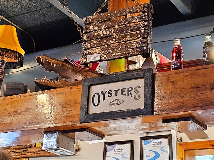 That alligator head watching over the dining room isn't just decor—it's quality control making sure every oyster meets Florida standards.
