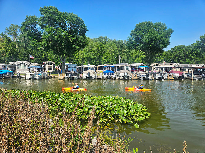 Kayakers glide past floating communities where boats and homes merge into one lifestyle that makes apartment living seem tragically landlocked.