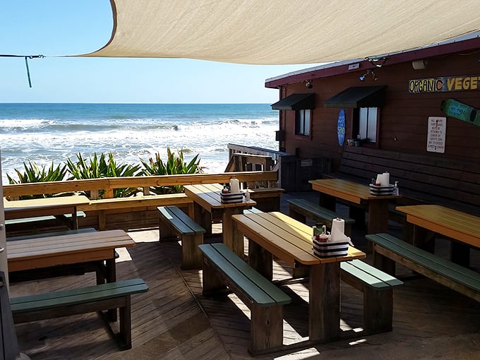 Picnic tables with million-dollar views. Mother Nature doesn't charge extra for the soundtrack of crashing waves and seagull symphonies.