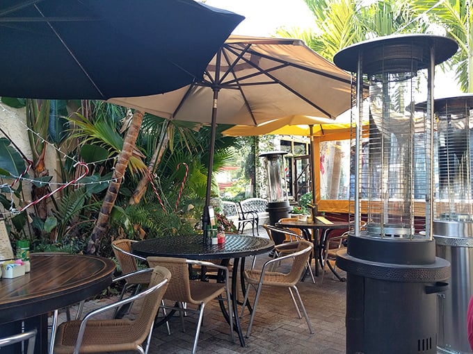 The outdoor patio—where palm trees meet pizza paradise. Florida's tropical charm creates the perfect backdrop for an al fresco Italian feast.