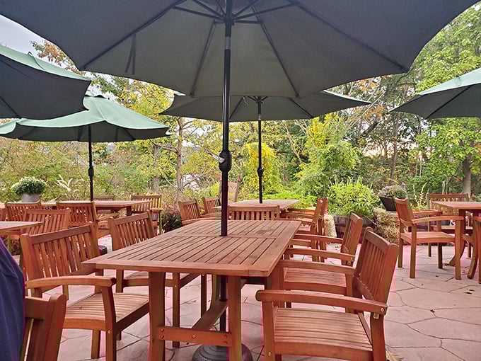 The outdoor patio offers nature's soundtrack with your meal. Those umbrellas aren't just for shade—they're keeping your food's secrets from passing birds.