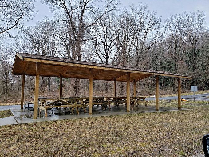Picnic tables waiting for your sandwich masterpiece. In the outdoor dining room, every seat has a five-star view.