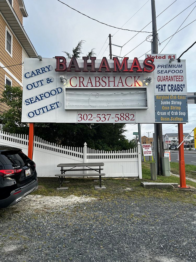 The sign proudly proclaims "FAT CRABS"—perhaps the only context where "fat" is a selling point rather than a criticism. Truth in advertising at its finest.