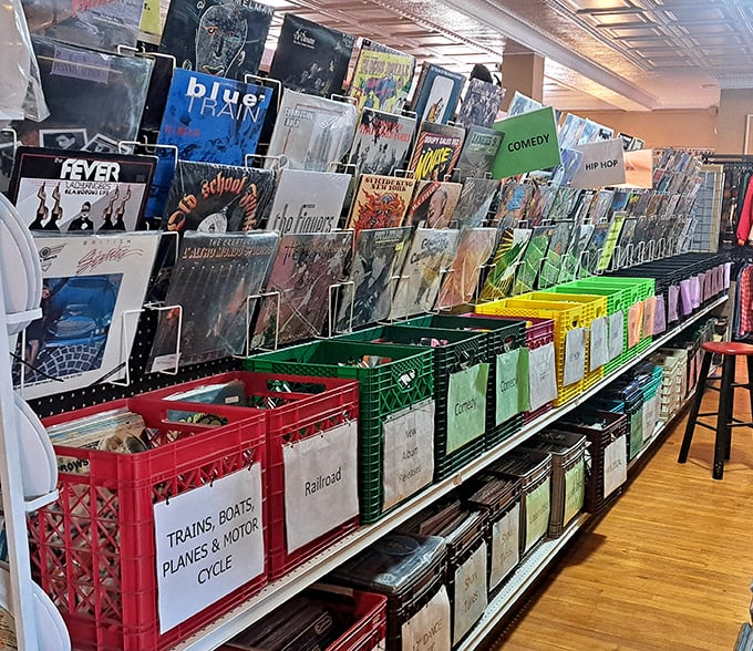 Vinyl paradise for analog audiophiles! From classic rock to hip-hop, these records aren't just music—they're physical memories you can hold.