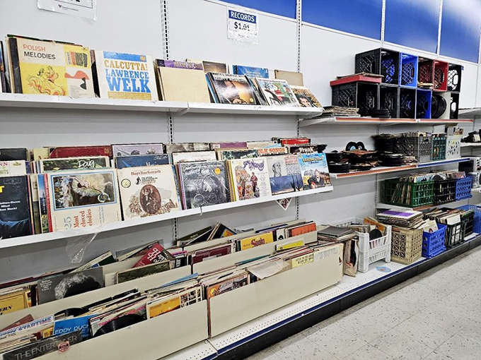 Vinyl heaven for analog souls – where forgotten albums get their encore performance in someone new's living room.