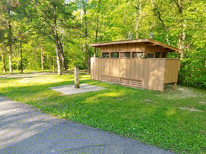Even the park facilities blend harmoniously with nature—practical architecture that doesn't distract from the surrounding woodland beauty.